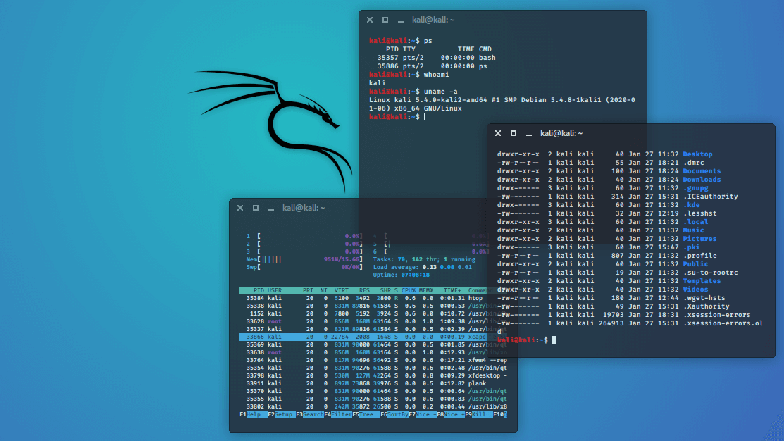 kali-customization-terminal | OffSec